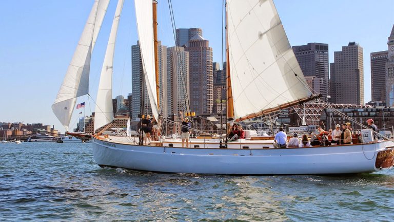 The Top 11 Paddle Boat Tours Boston: Explore Scenic Waterways and ...