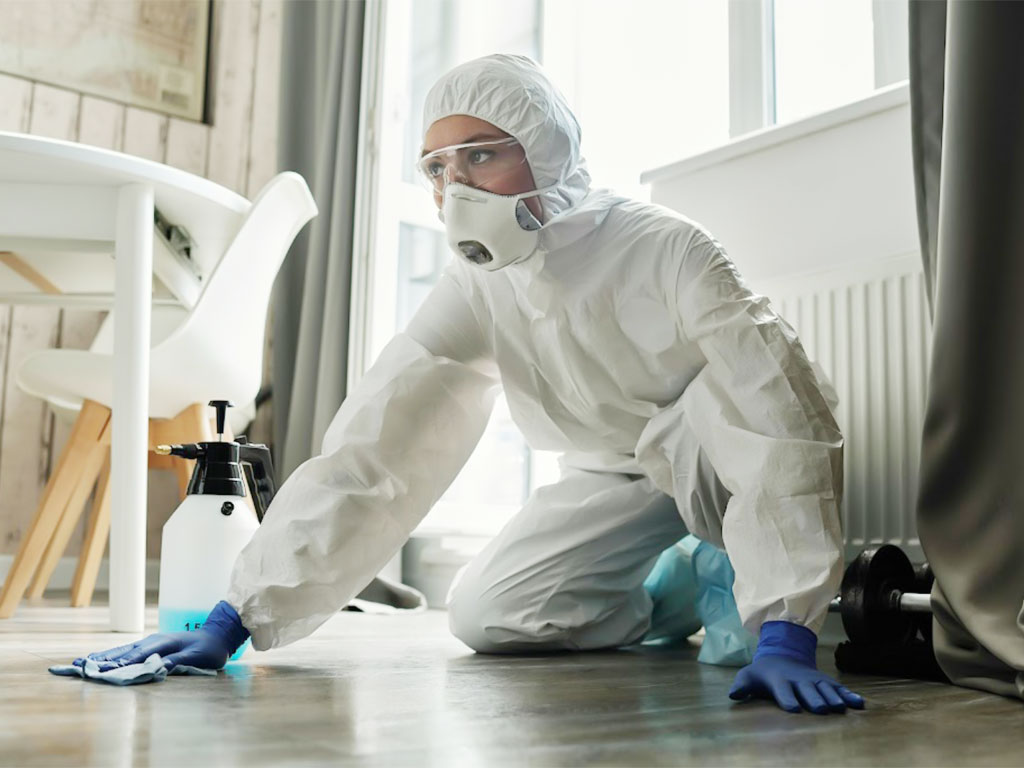Top 12 Cheap Cleaning Services in Boston: Affordable & Reliable ...